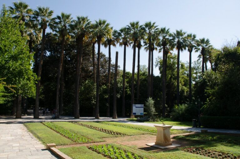 Local Tips for the Best Things to Do on a Sunday in Athens | Athens by ...